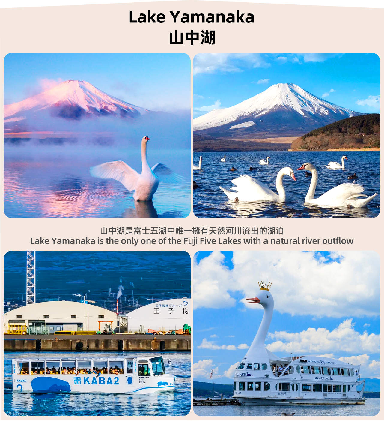 [Mt. Fuji Twin Lakes Experience Tour] Lake Yamanaka & Hirano Beach ...